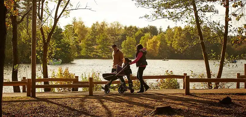Center Parcs Scraps Plans for Latest UK Park | ittn.ie