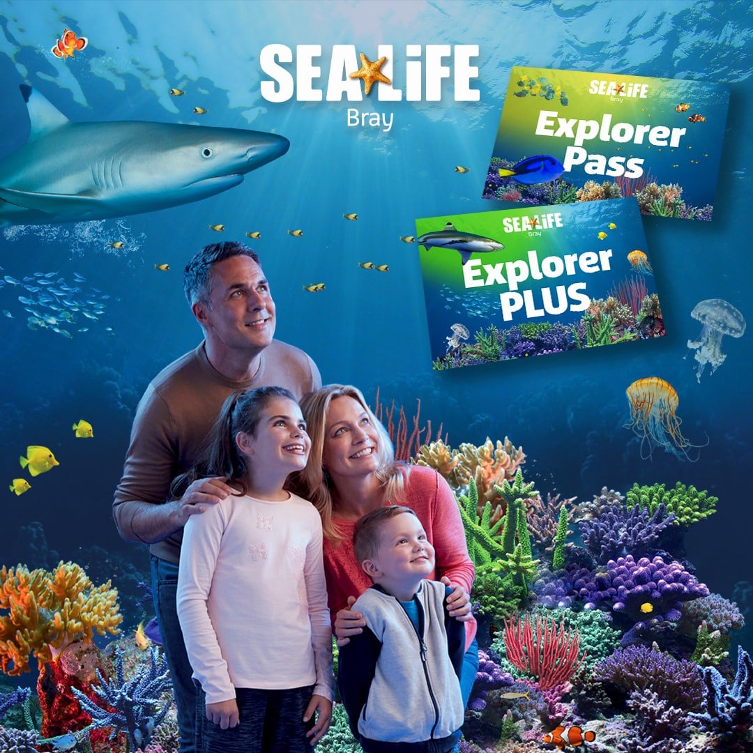 SEA LIFE Bray Launches Annual Passes for First Time Since 2019 | ittn.ie