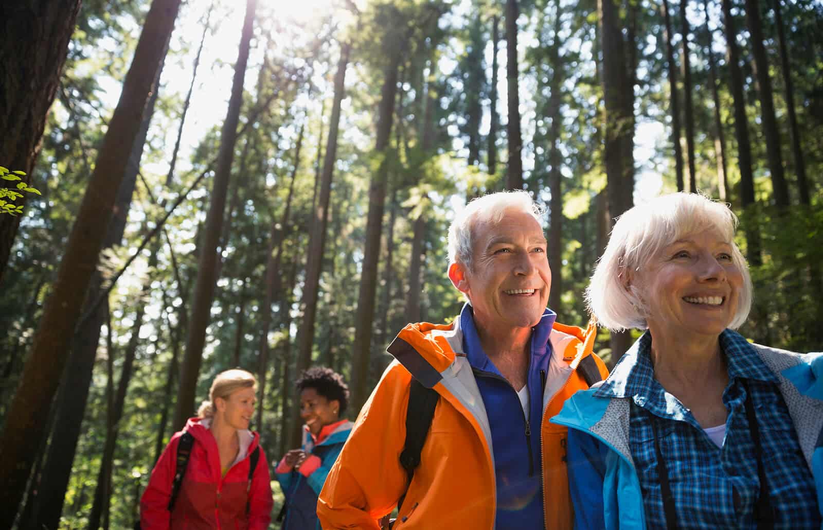 Educational Travel Specialist Road Scholar Unveils Comprehensive ...