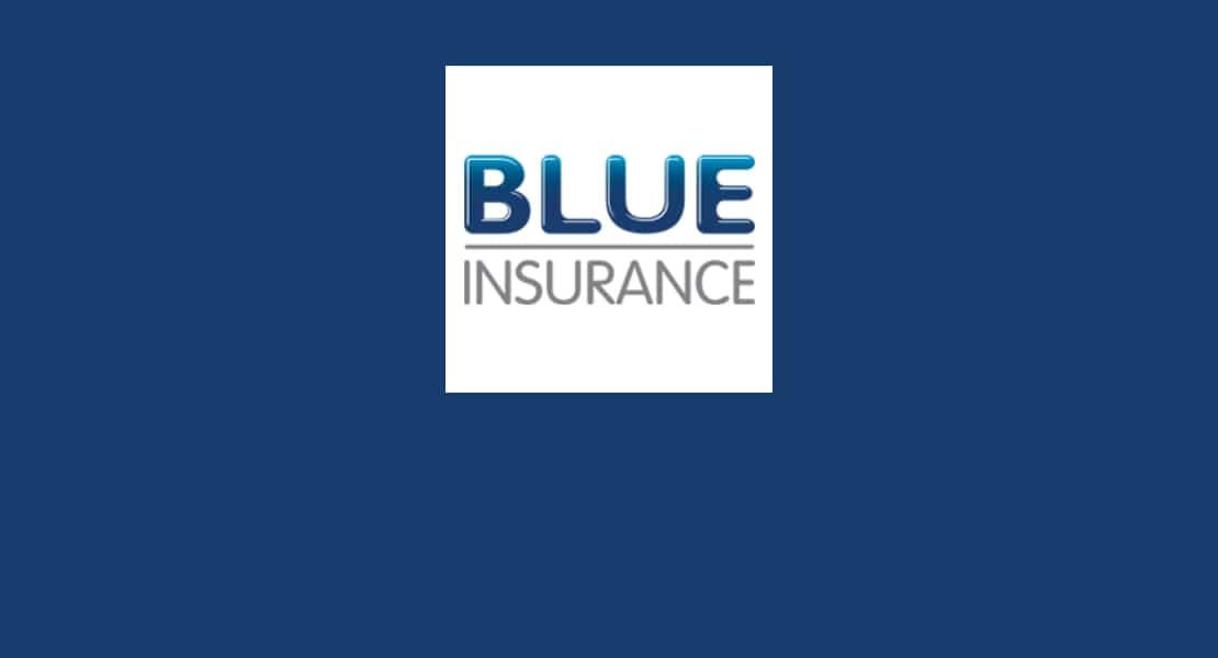 Blue Insurance To Launch New Online Portal for Travel Agents | ittn.ie