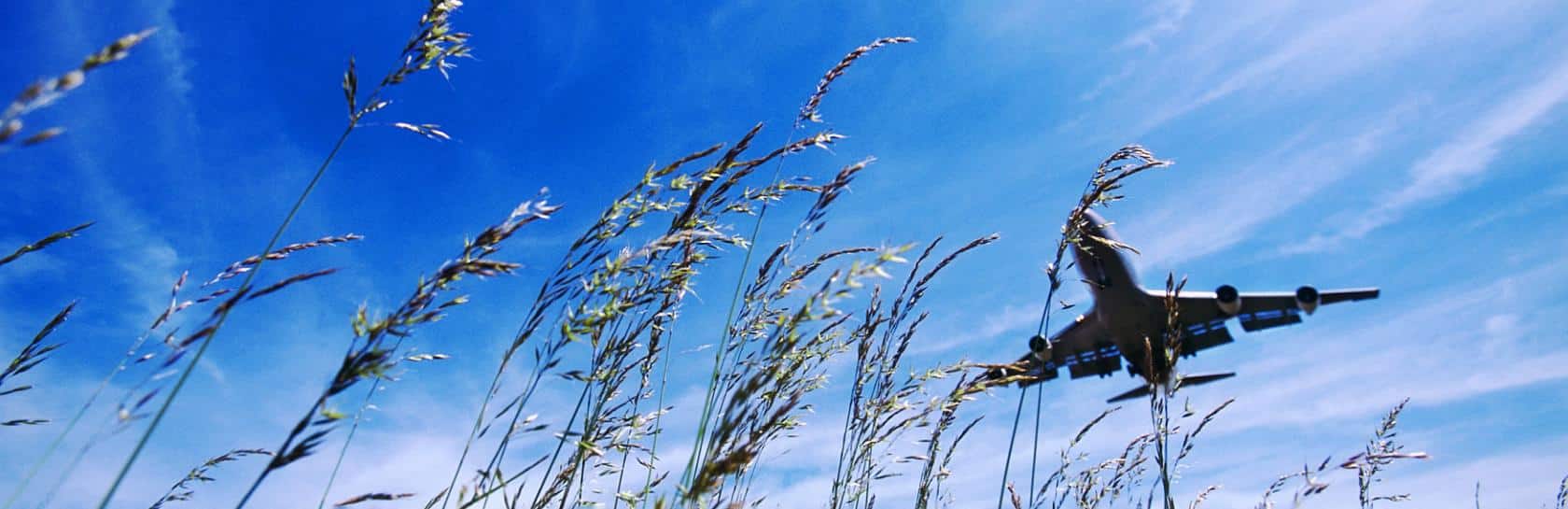 Heathrow Commits £86m to Boost Airline SAF Usage; Targets 3% of Fuel to be Green | ittn.ie