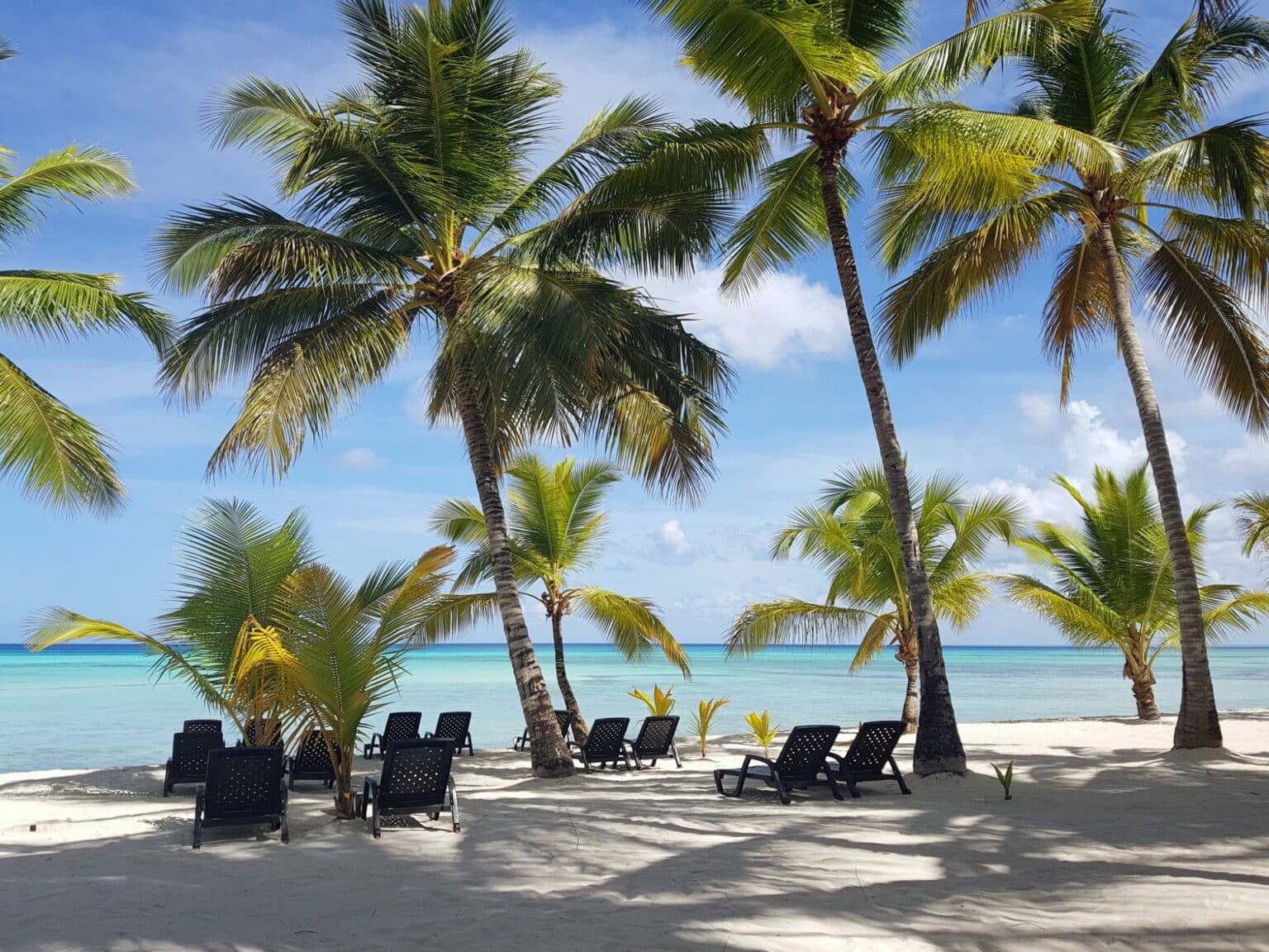 TUI Announces Direct Belfast International Airport to Dominican ...