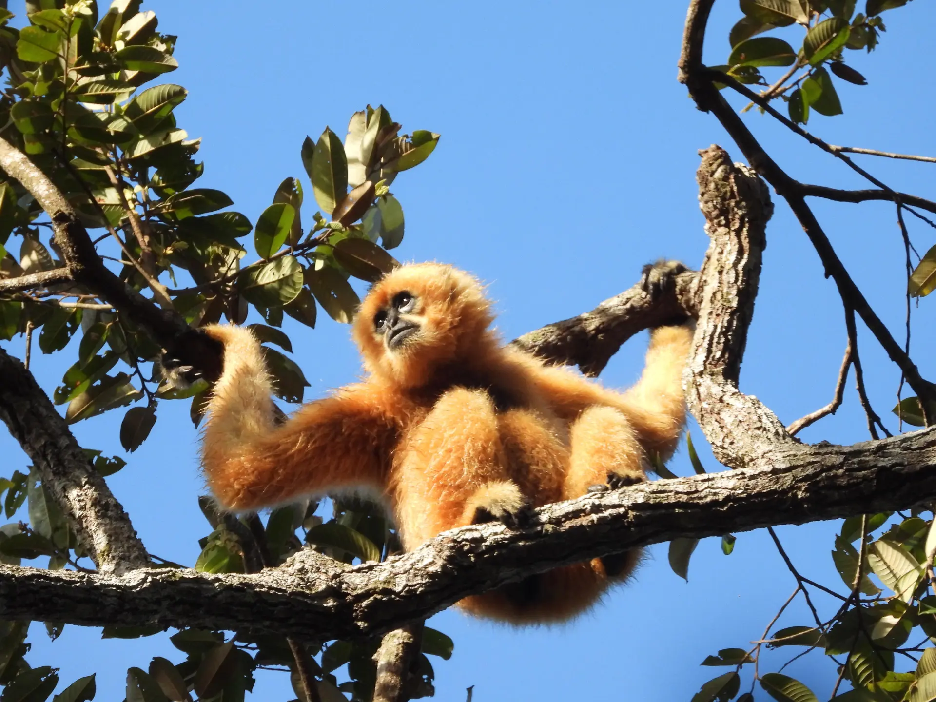 TUI Care Foundation Partners with IUCN to Support Endangered Species ...